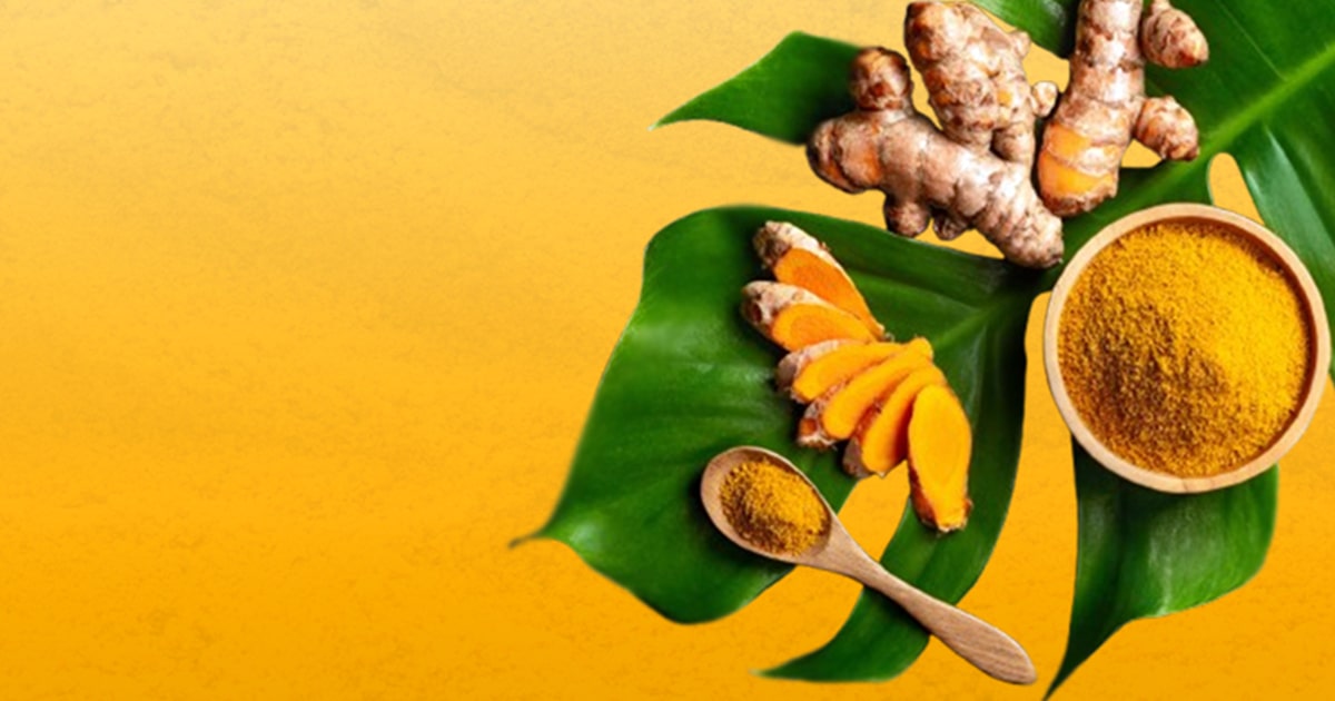 Maxicuma: Free Curcumin – 172x Enhanced Absorption in Clinical Study